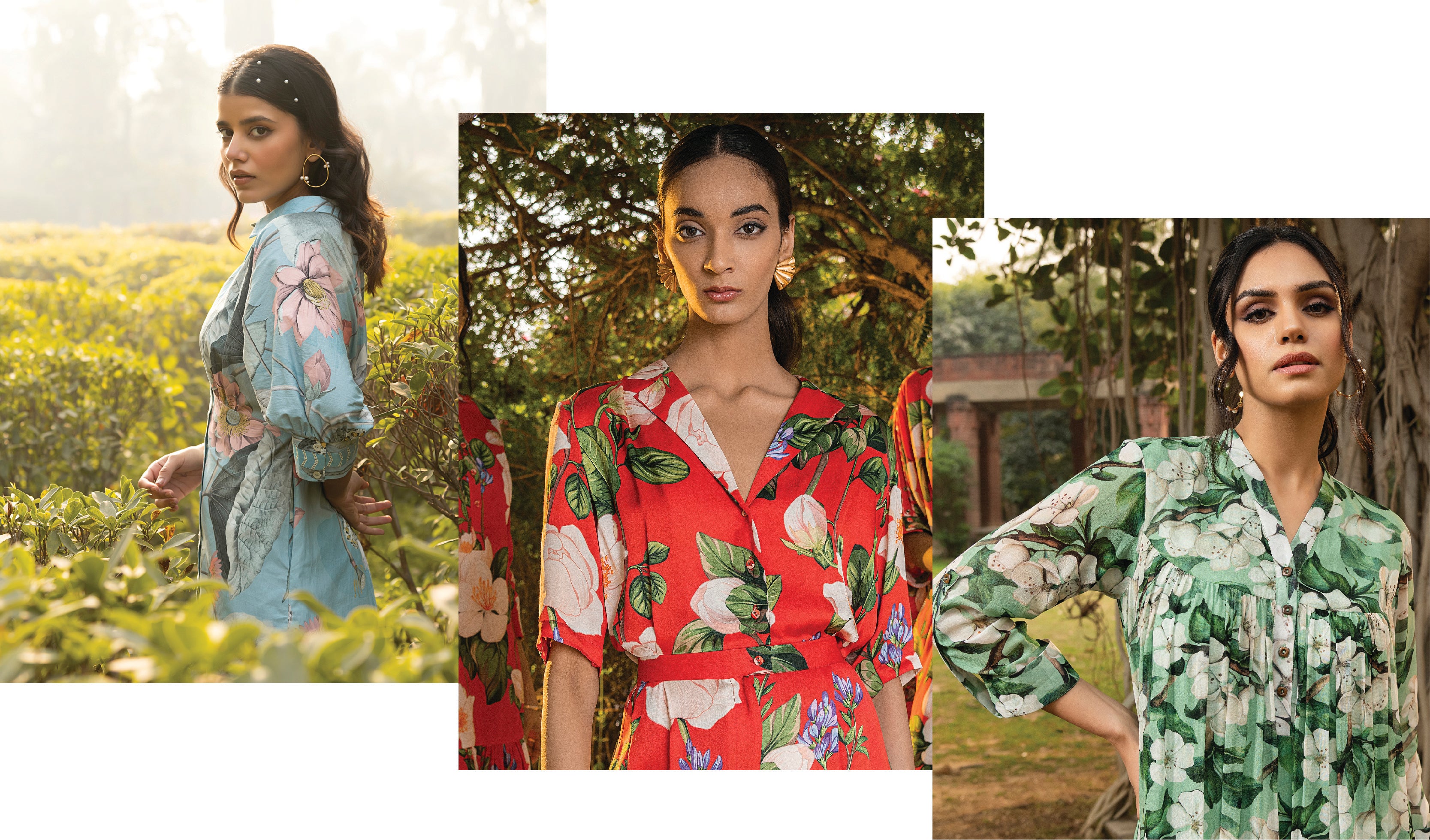 The Garden of Adonis – divibysonal